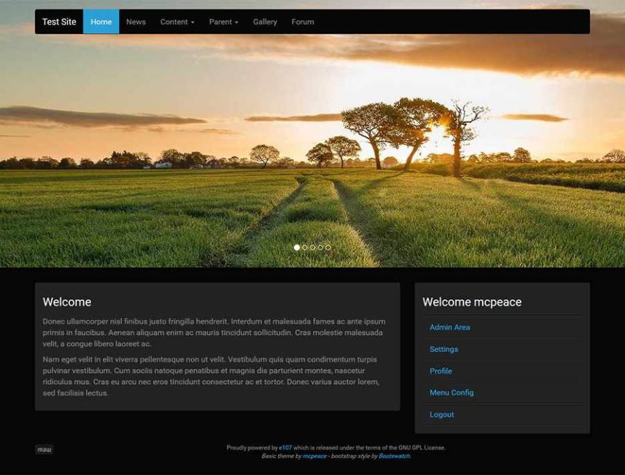Plugin & Themes | e107 Bootstrap CMS Open Source